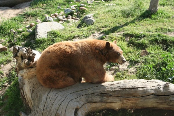 California Living Museum-Calm - Museums - Bakersfield, CA - Yelp